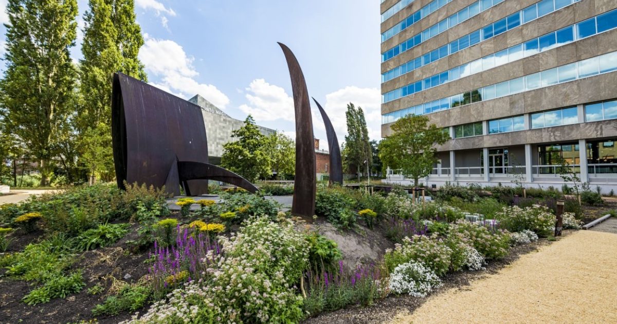 The 'Stadhuis PLUS' greening project | Eindhoven Design District